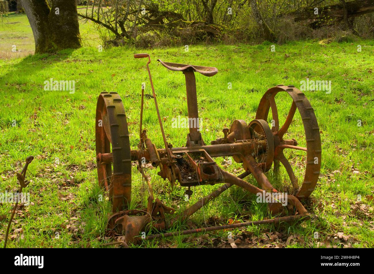 Dorris ranch living history filbert farm county park hi-res stock ...