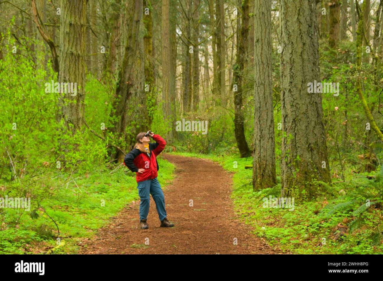 Woodland trail, Dorris Ranch Living History Filbert Farm County Park ...