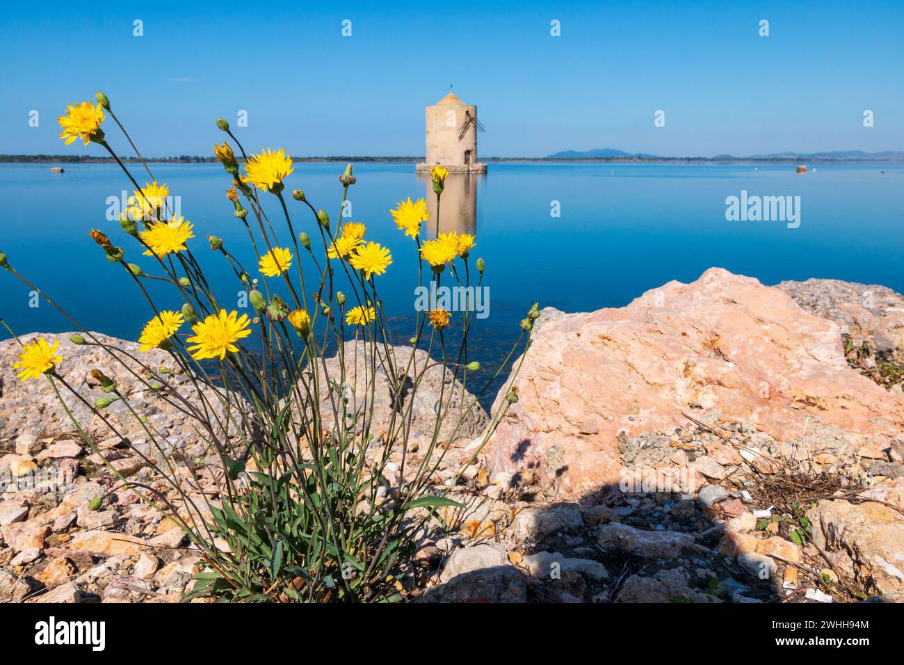 Tuscany symbol hi-res stock photography and images - Alamy