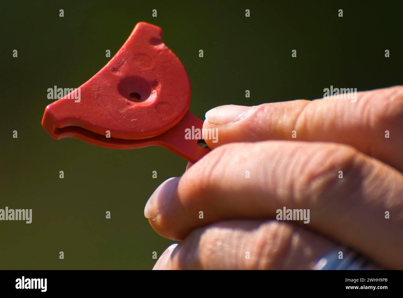 Sheep dog whistle, Northwest Champion Sheep Dog Trials, Linn County ...