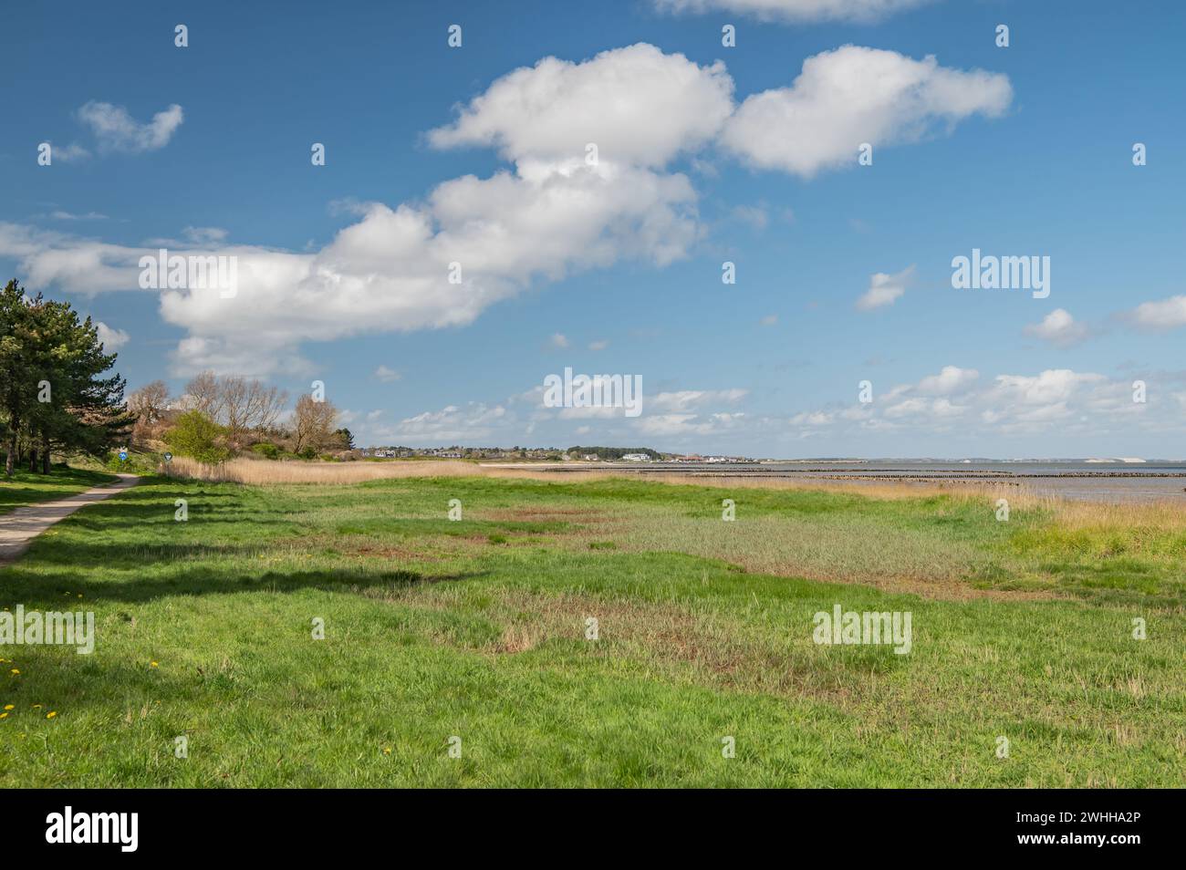 Park bridge spring salt hi-res stock photography and images - Alamy
