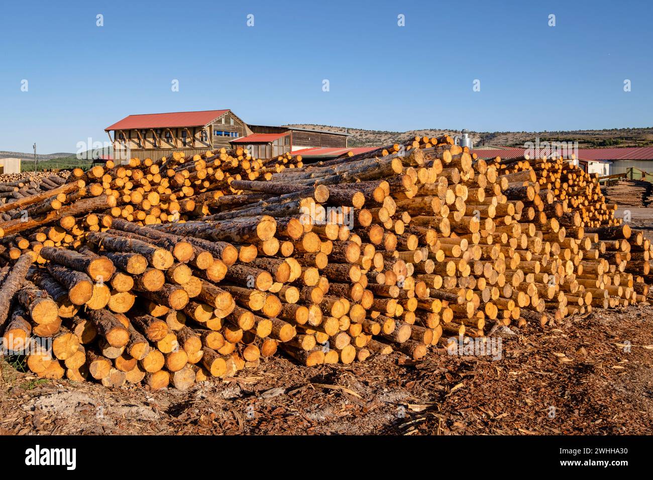 Celulosa de madera hi-res stock photography and images - Alamy