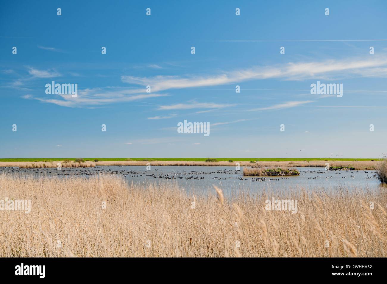 Wildlife zones hi-res stock photography and images - Alamy