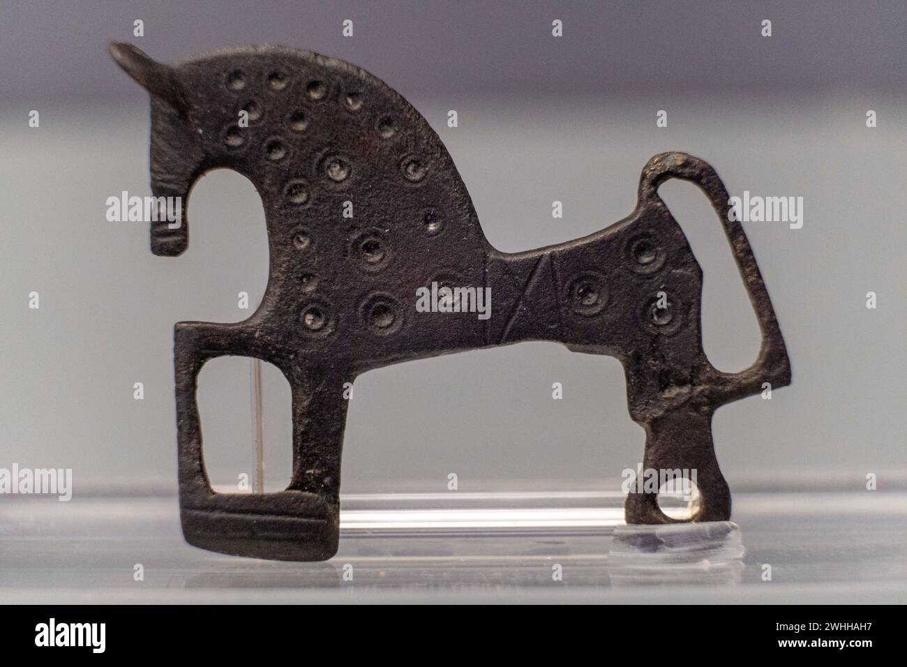 Fibula de caballito Stock Photo - Alamy