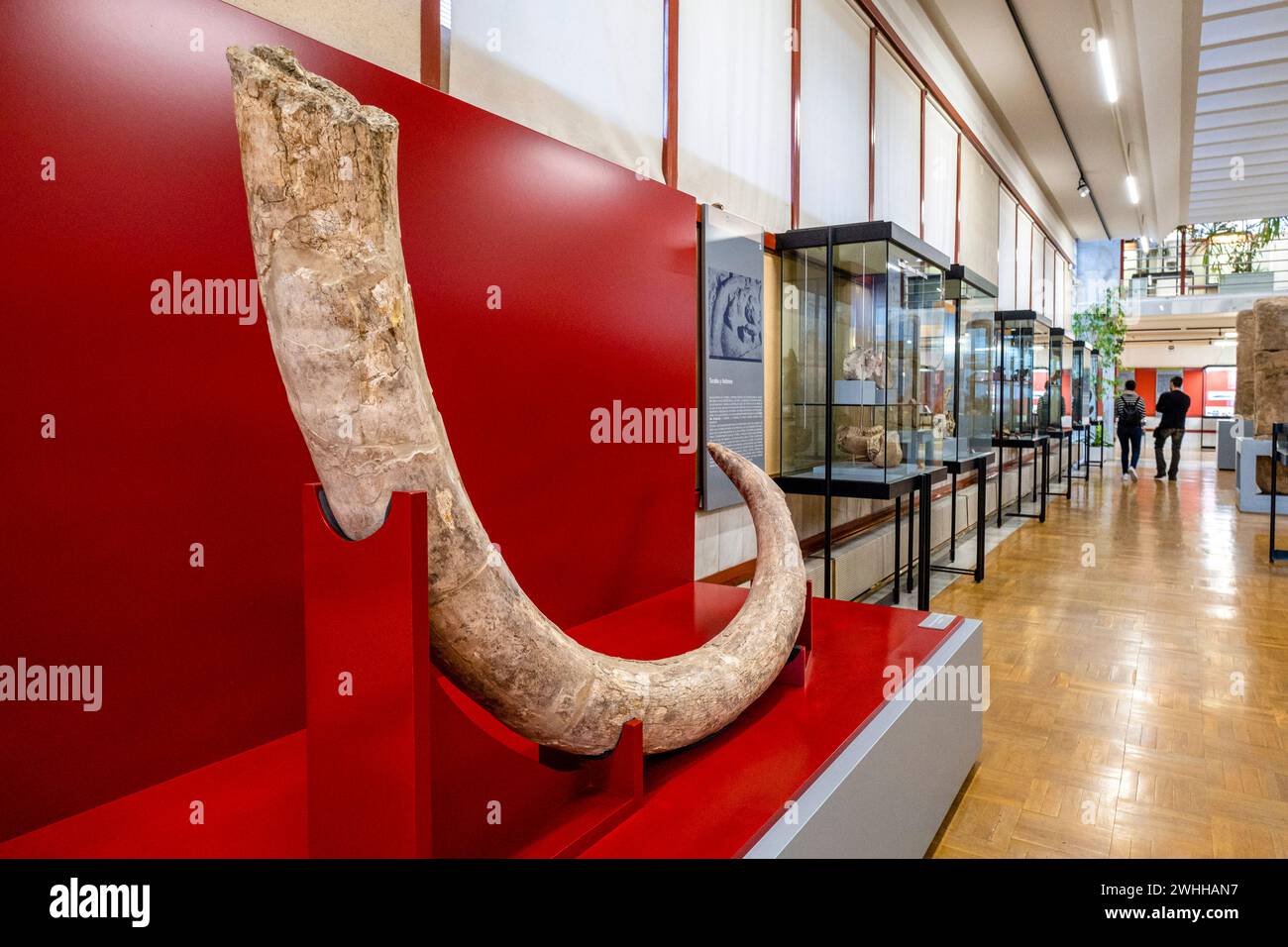 Sala de historia hi-res stock photography and images - Alamy