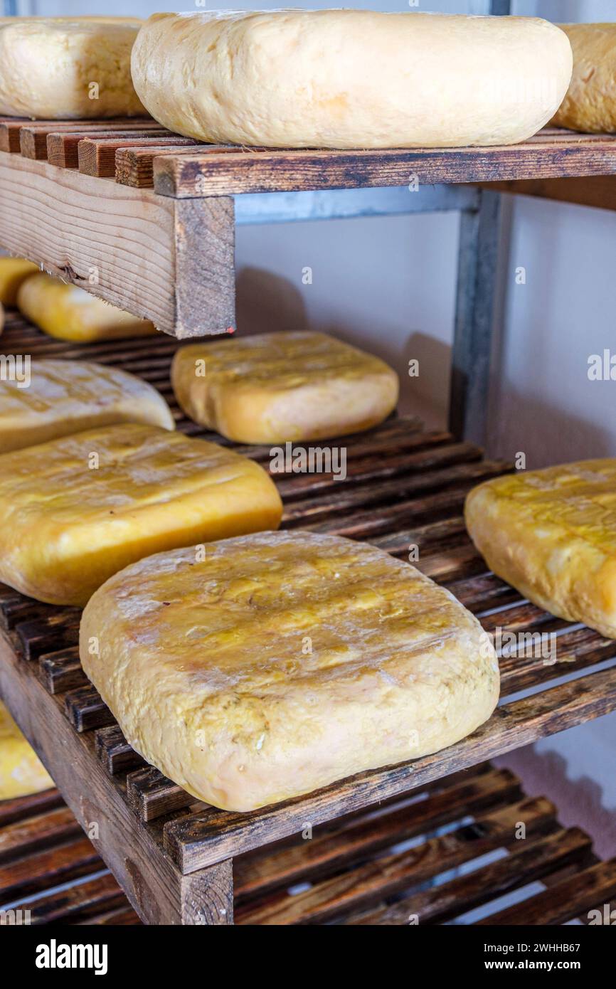 Cheese ripening shelves hi-res stock photography and images - Alamy