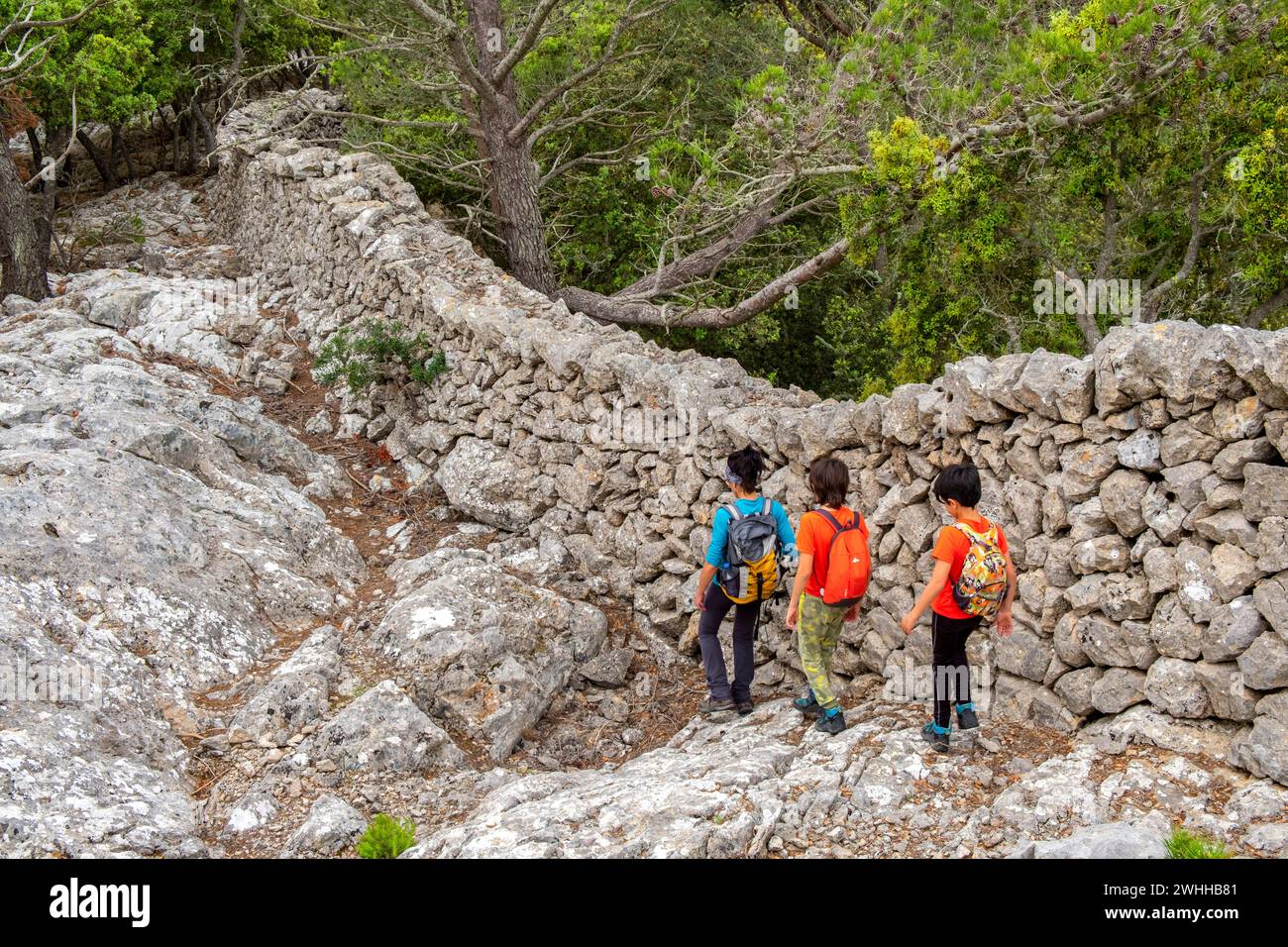 Traditional stone wall - Pedre en Sec - Fita del Ram Stock Photo - Alamy