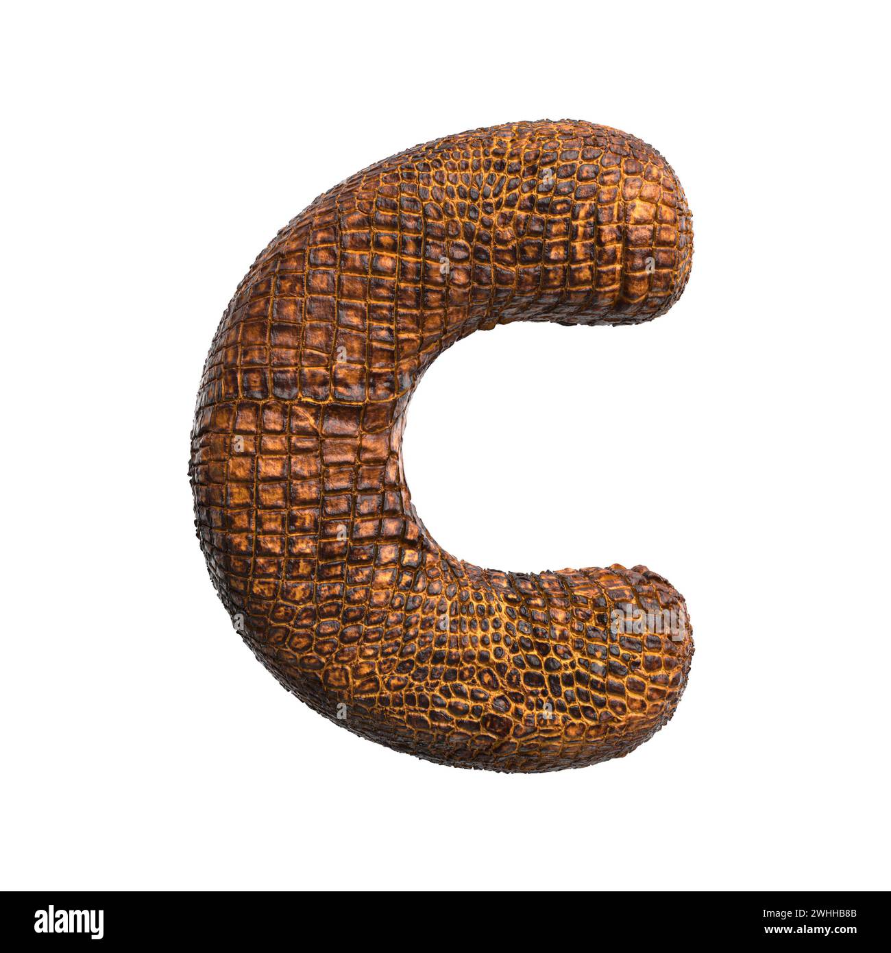 Crocodile letter C - Capital 3d reptile font - suitable for wildlife ...