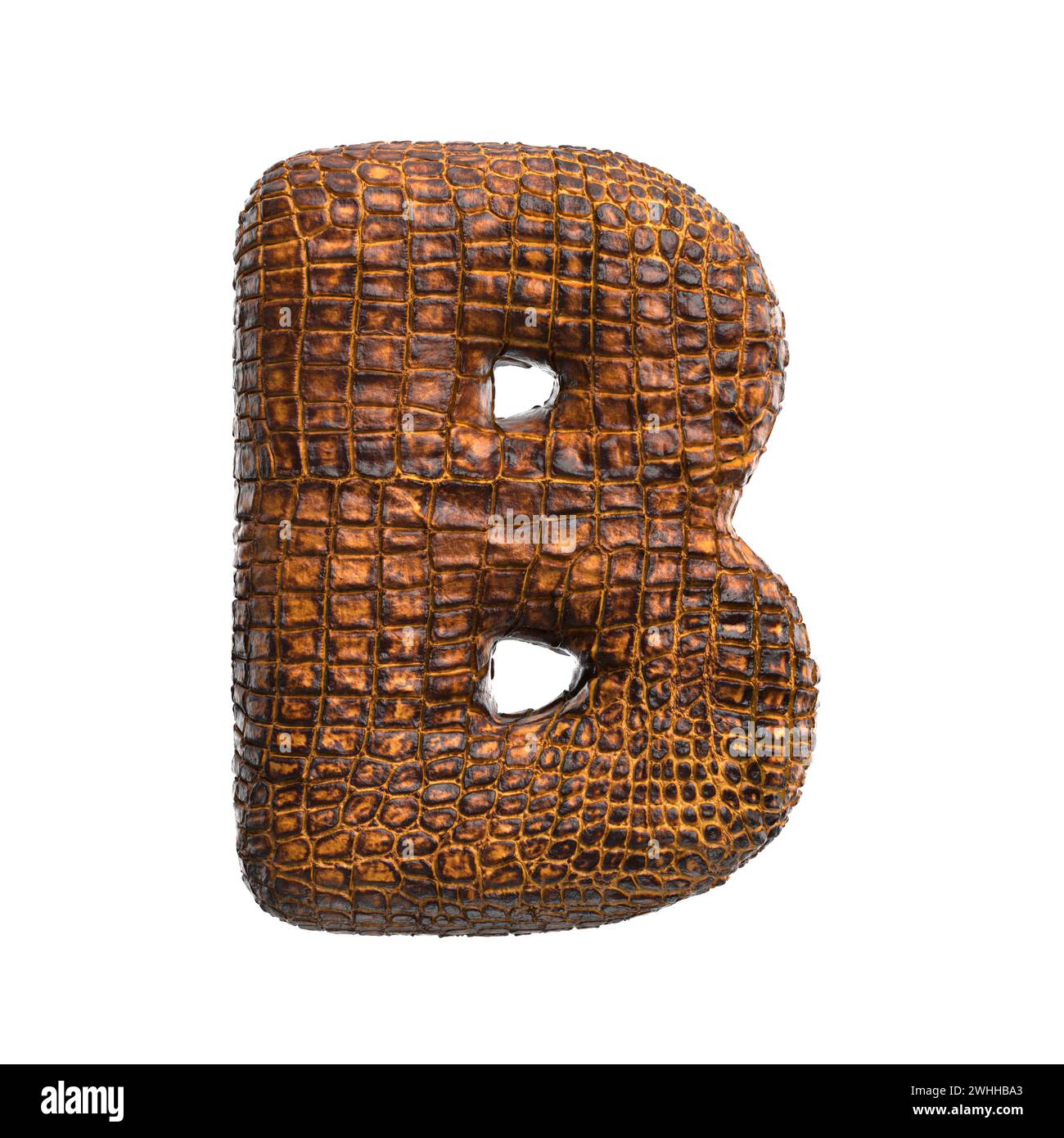 Crocodile letter B - Capital 3d reptile font - suitable for wildlife ...