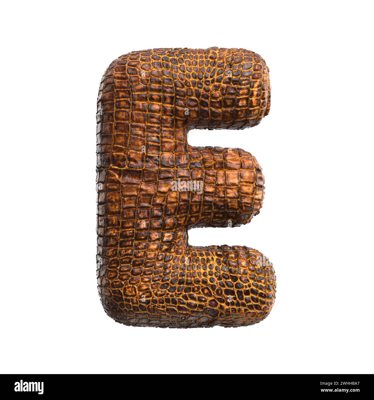 Crocodile letter E - Capital 3d reptile font - suitable for wildlife ...