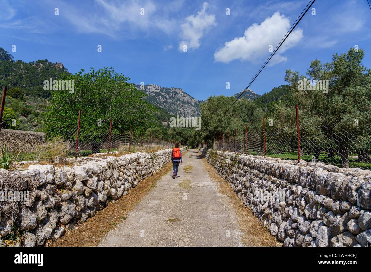 Backpack hiker hi-res stock photography and images - Alamy