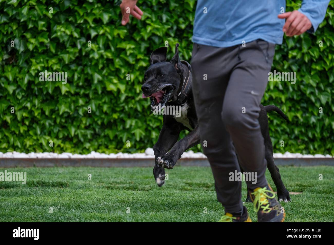 Person associated hi-res stock photography and images - Alamy