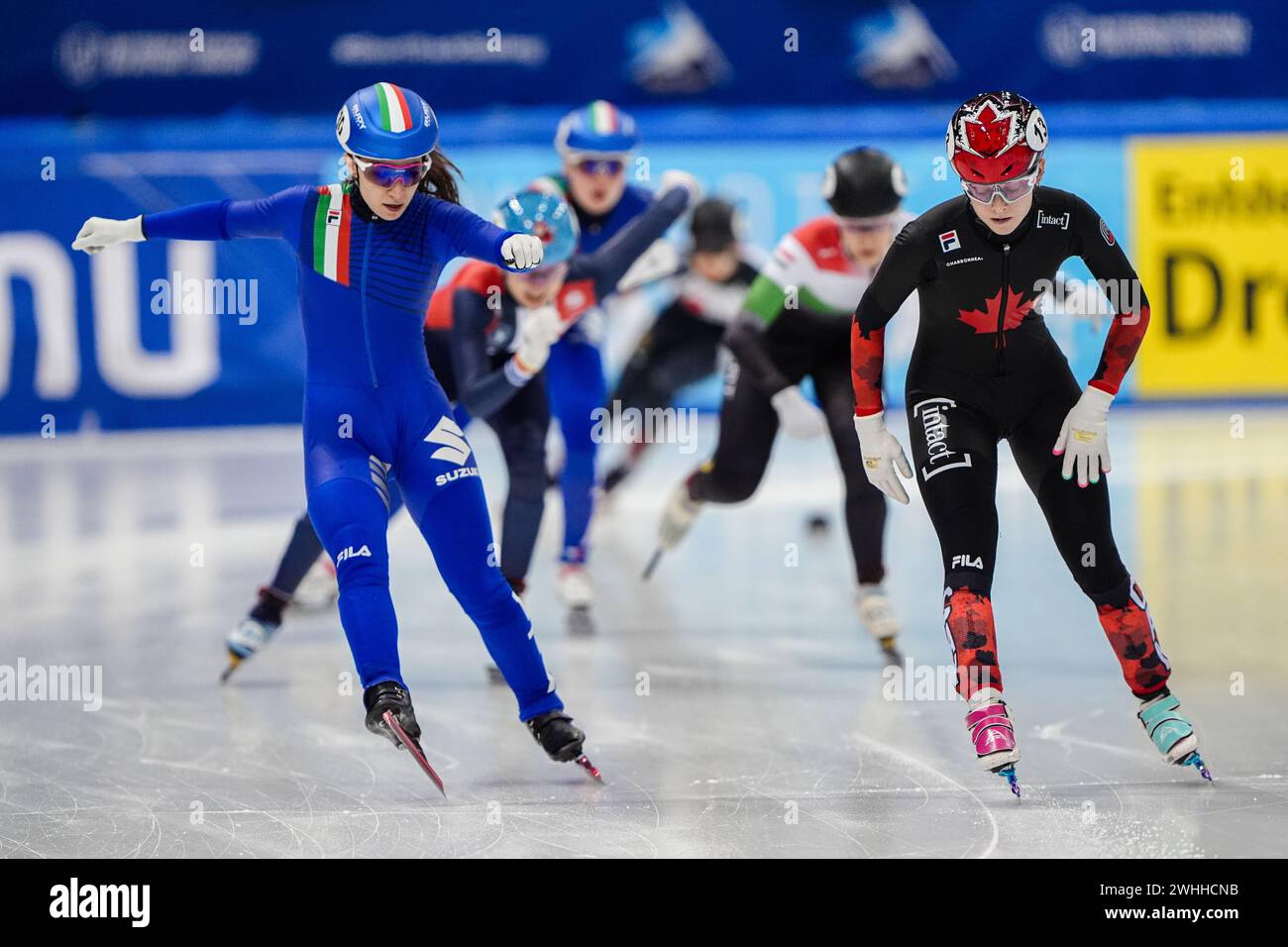 Dresden, Germany. 10th Feb, 2024. DRESDEN, GERMANY - FEBRUARY 10 ...