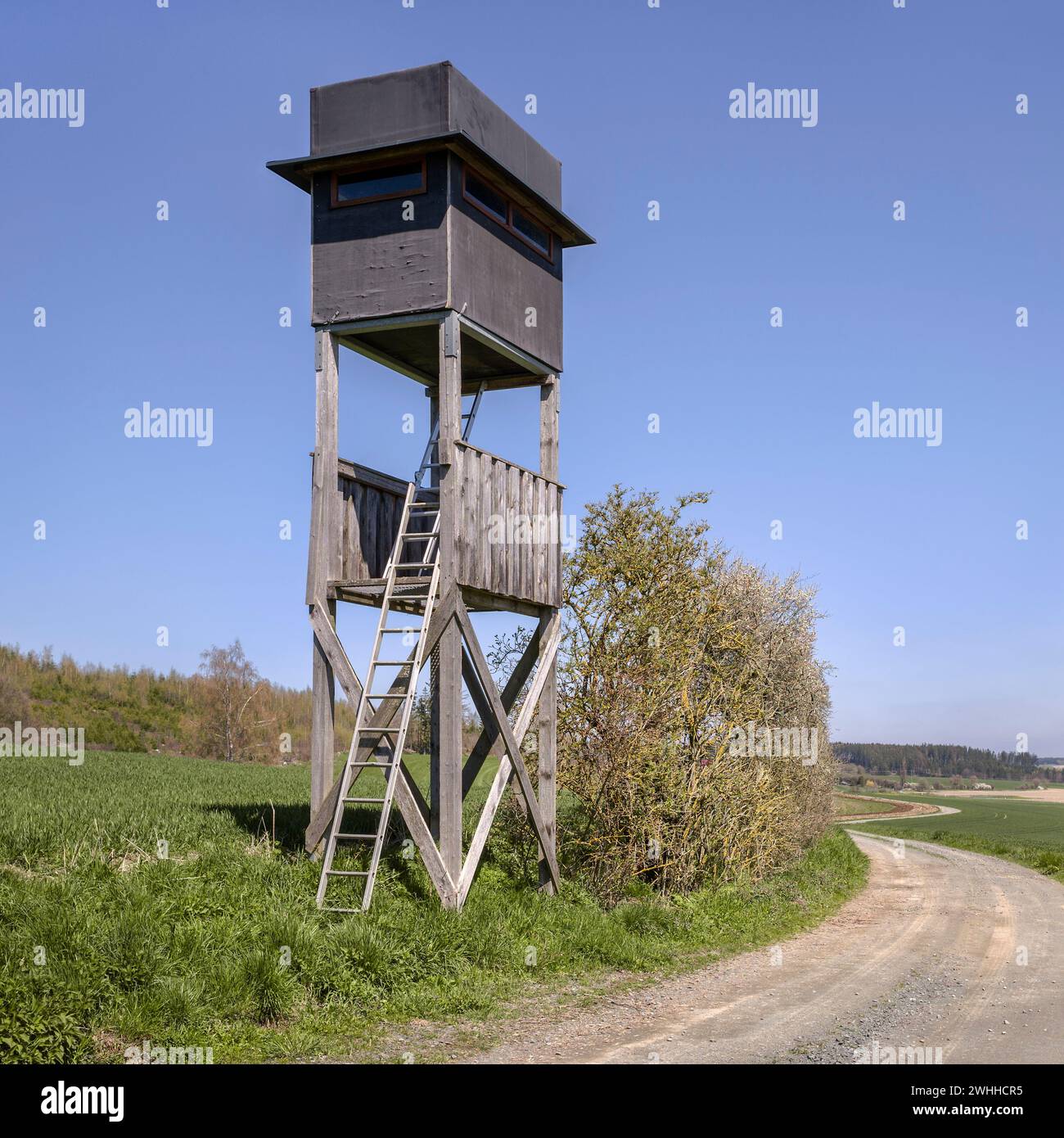 Plants to hide fence hi-res stock photography and images - Alamy