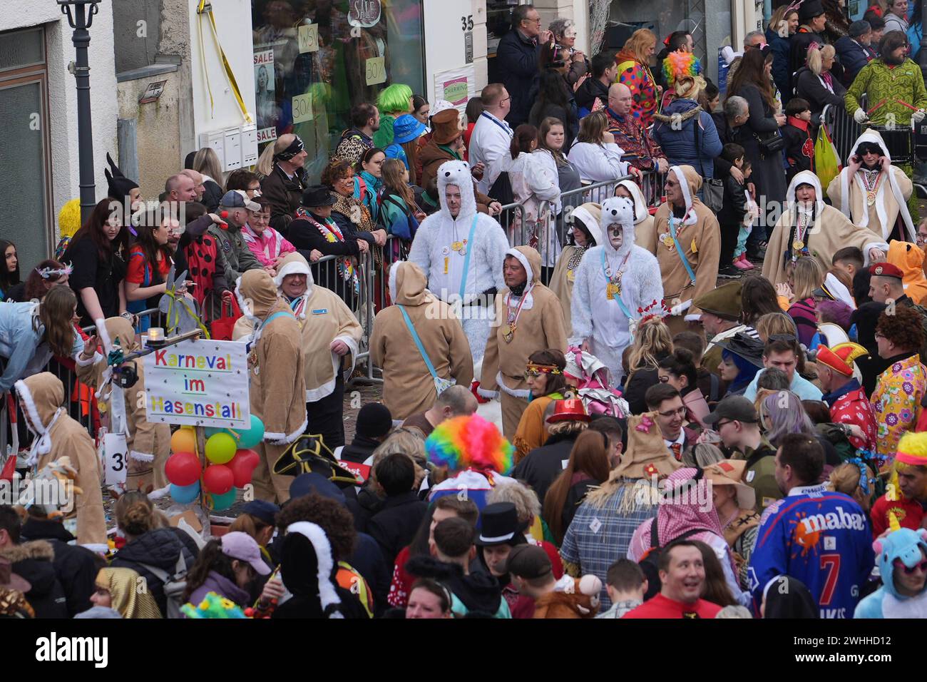 Gruppe Karneval im Hasestall - Gernsheim 10.02.2024: Straßenfastnacht ...