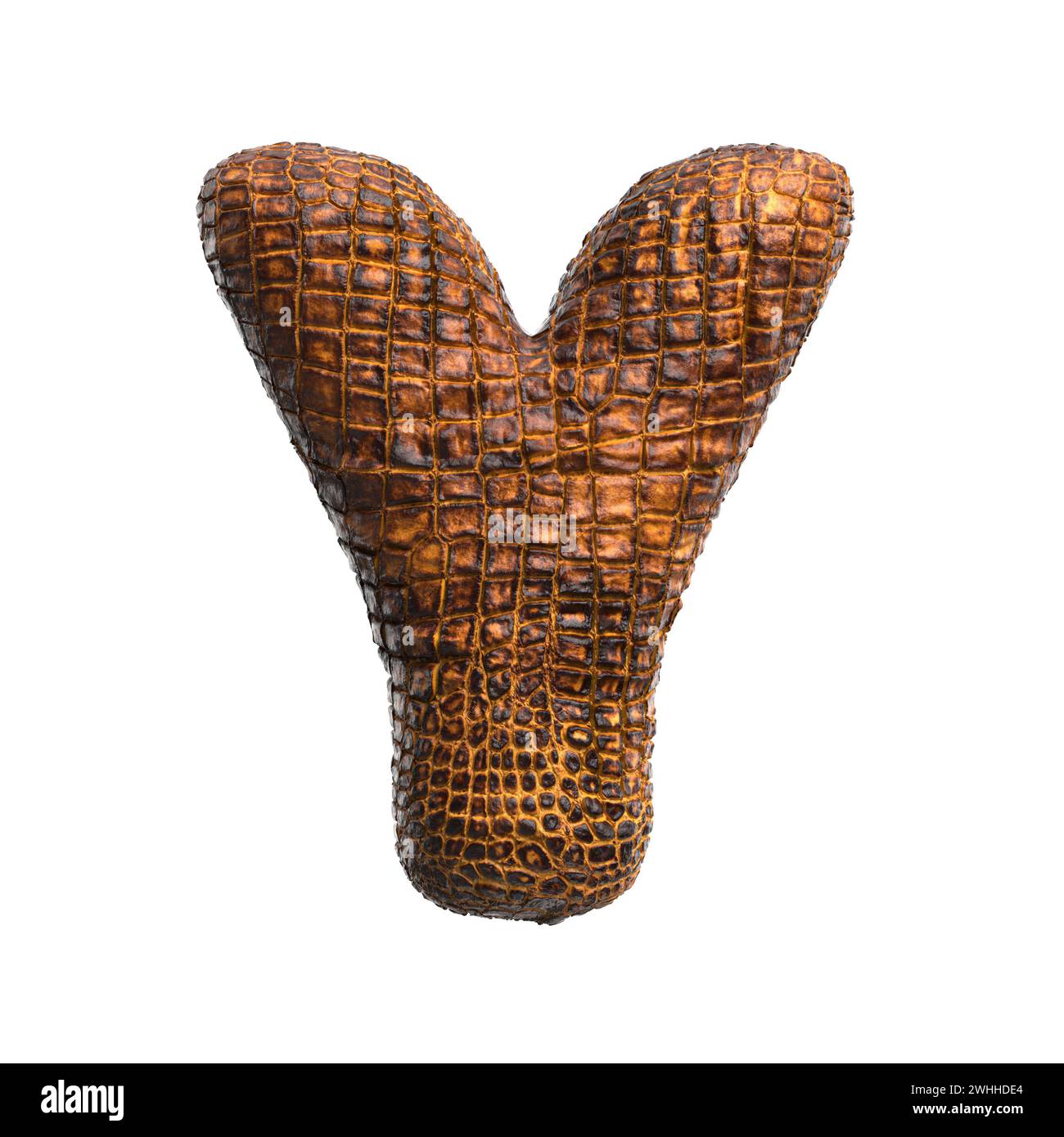 crocodile letter Y - large 3d reptile font isolated on white background ...