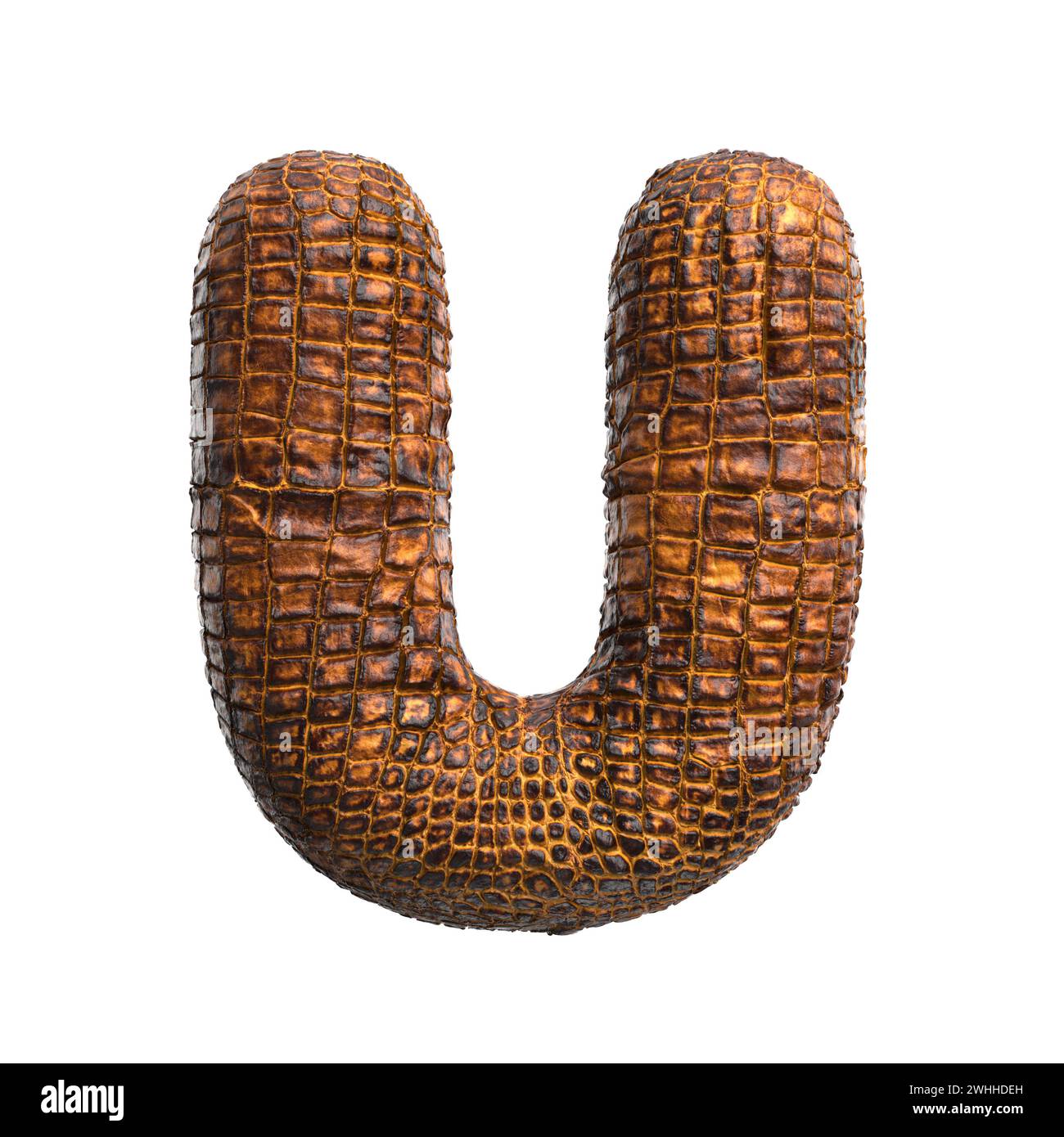 Crocodile letter U - Capital 3d reptile font - suitable for wildlife ...