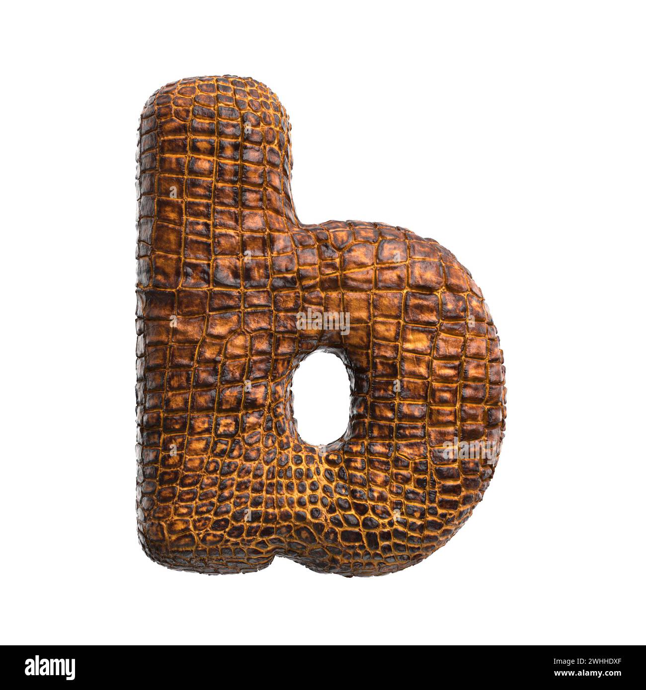 Crocodile letter B - Lower-case 3d reptile font - Suitable for wildlife ...