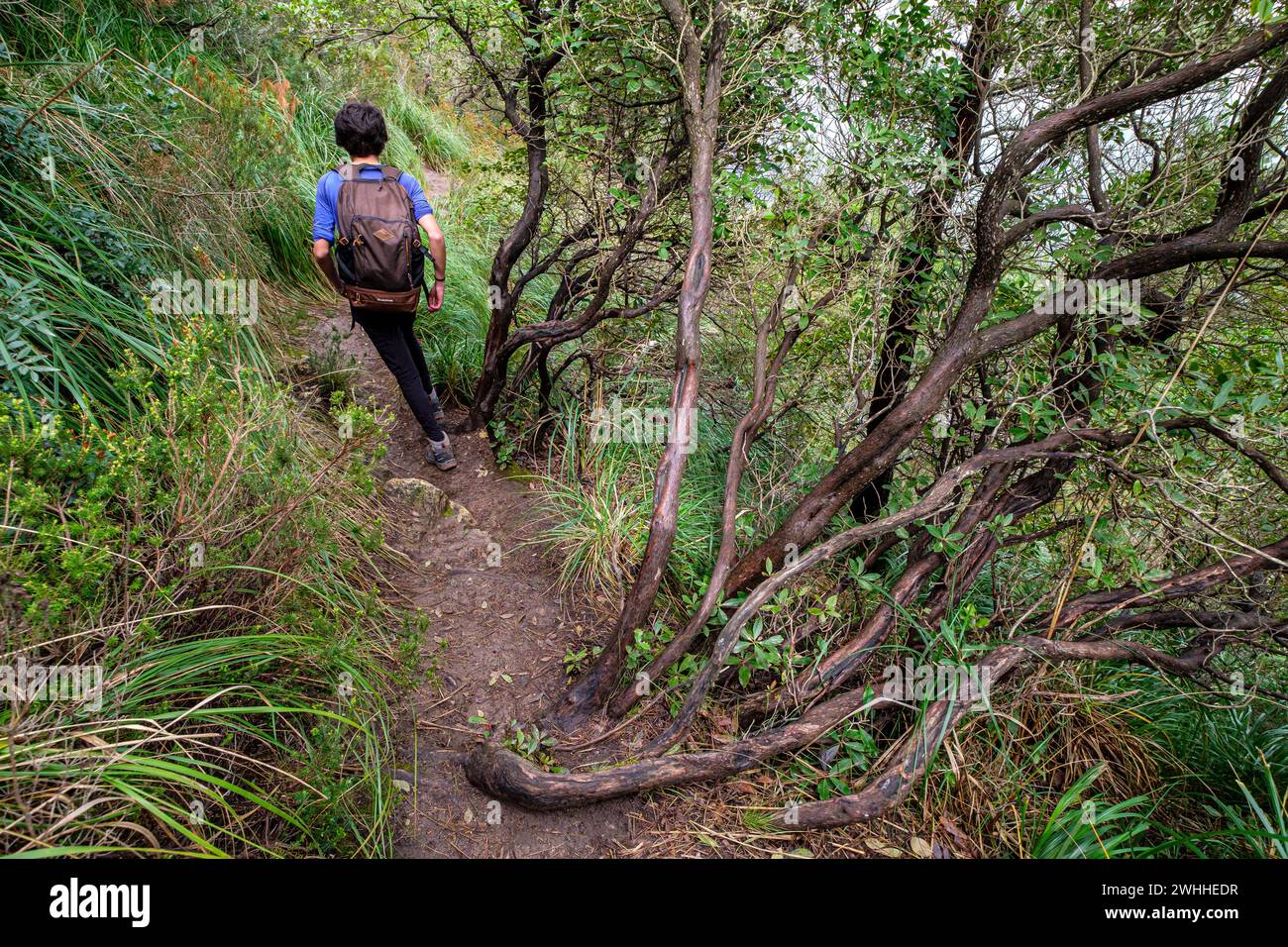 Trekking ascent hi-res stock photography and images - Alamy