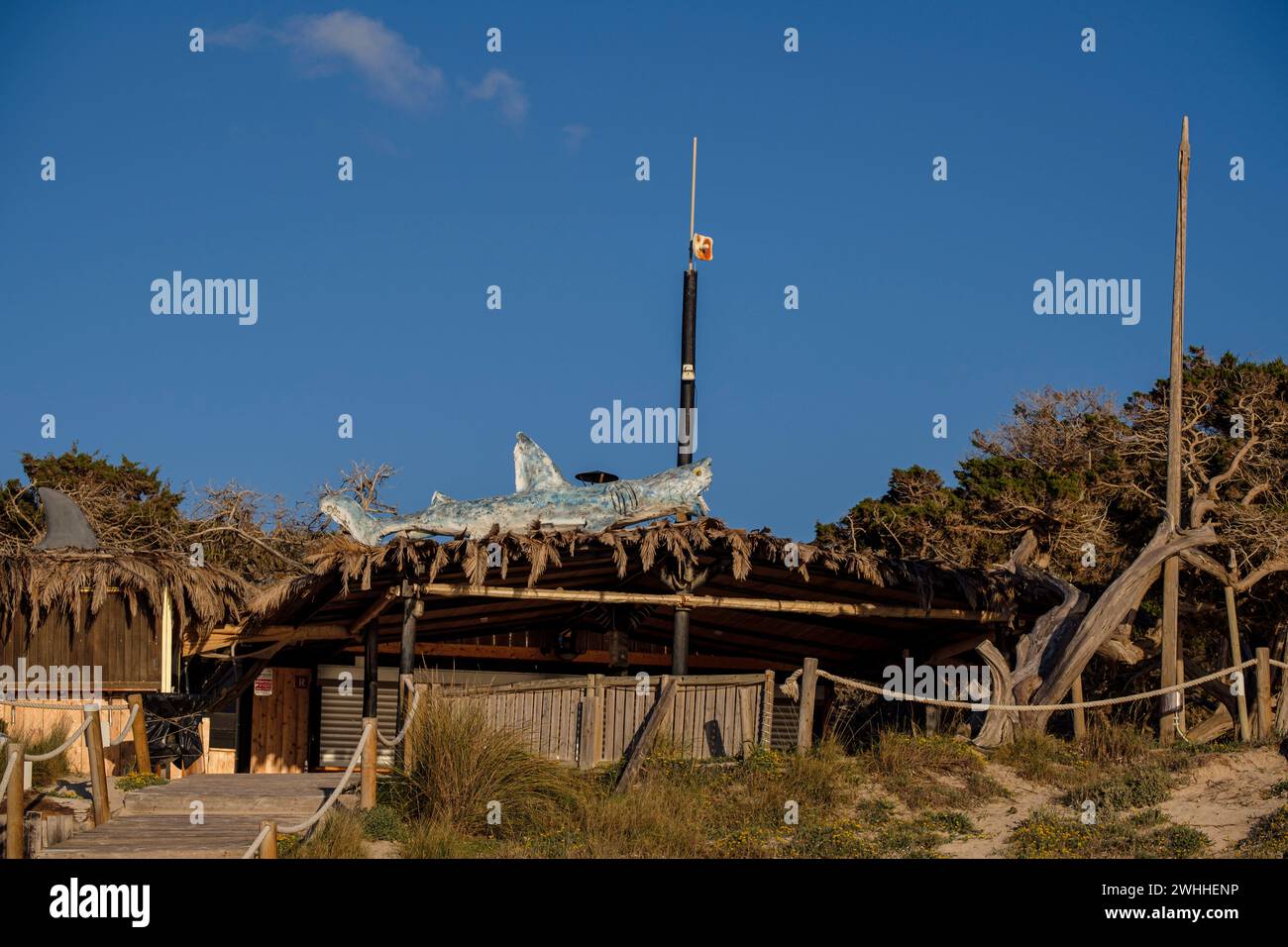 Tiburon island hi-res stock photography and images - Alamy