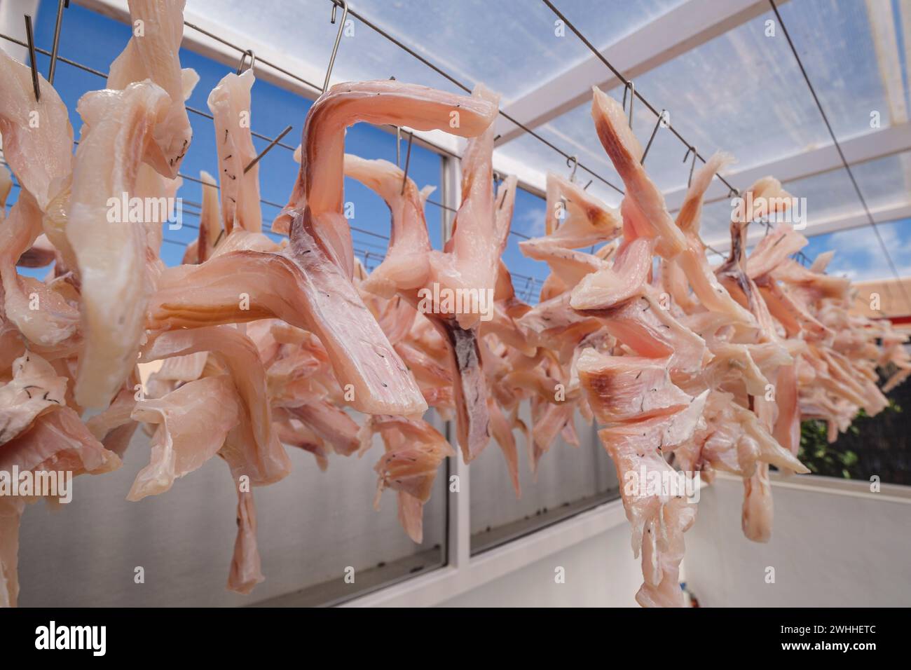 Dried fish processing hi-res stock photography and images - Alamy