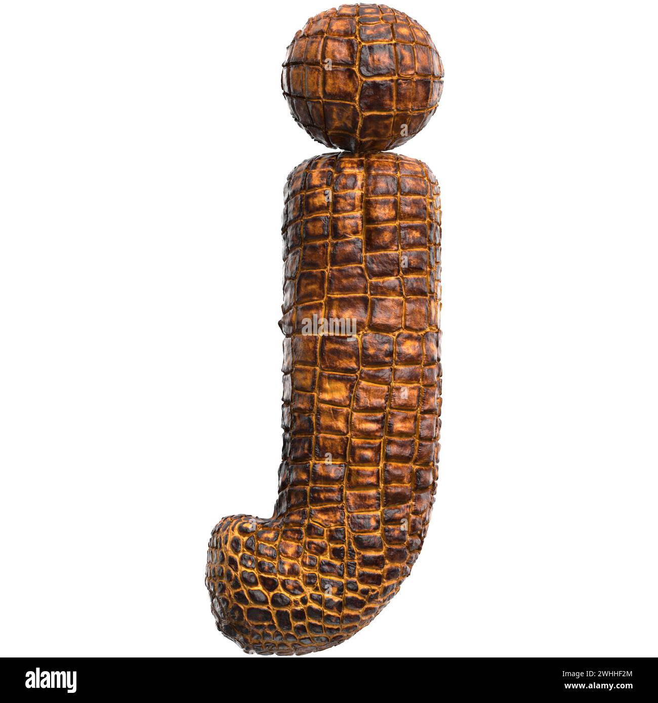 Crocodile letter J - Lowercase 3d reptile font - Suitable for wildlife ...