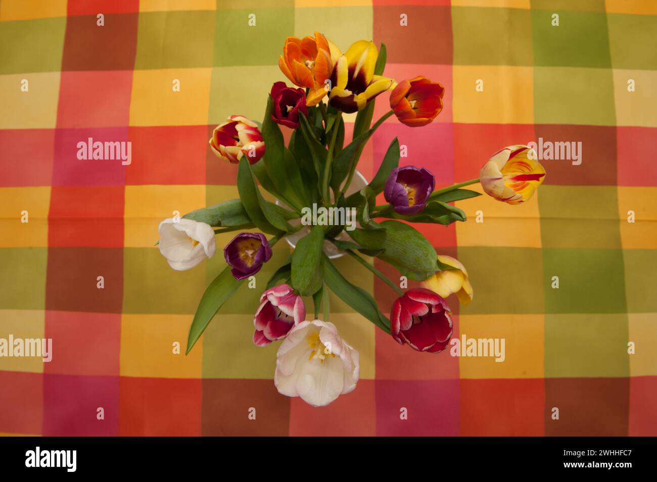 Still Life - Tulips Stock Photo - Alamy