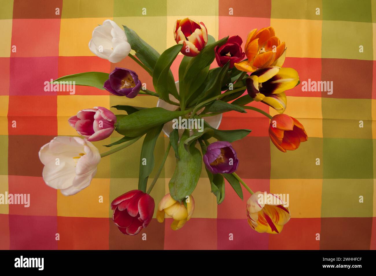 Still Life - Tulips Stock Photo - Alamy