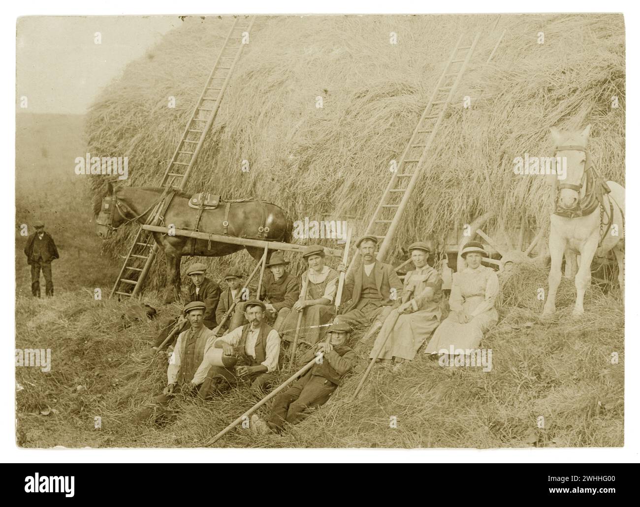 Original WW1 era postcard of harvest scene with agricultural workers ...
