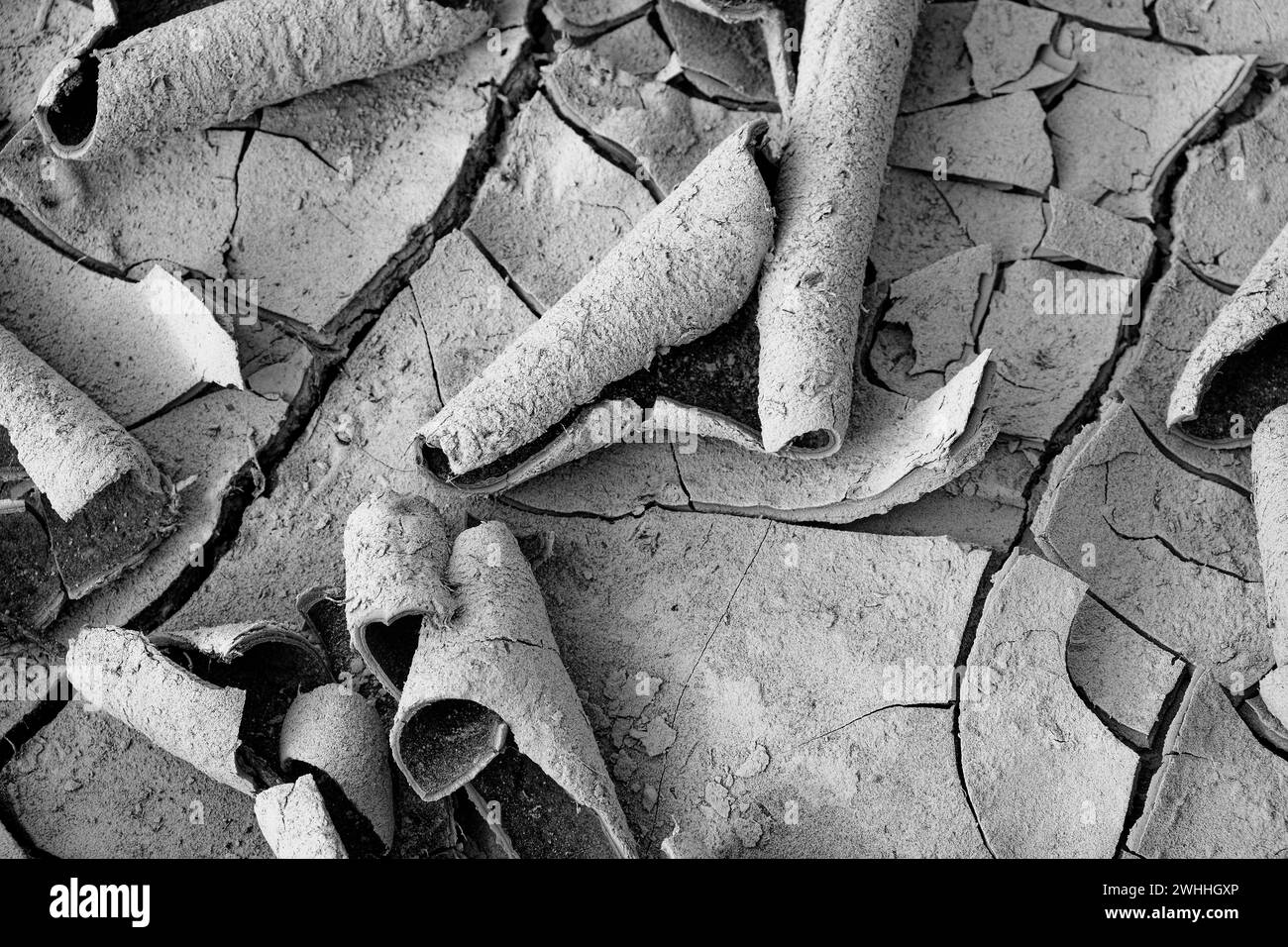 A close-up of cracked, dry soil with curled edges revealing the ground ...