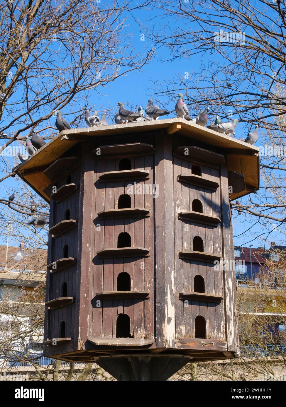 Pigeon loft hi-res stock photography and images - Alamy
