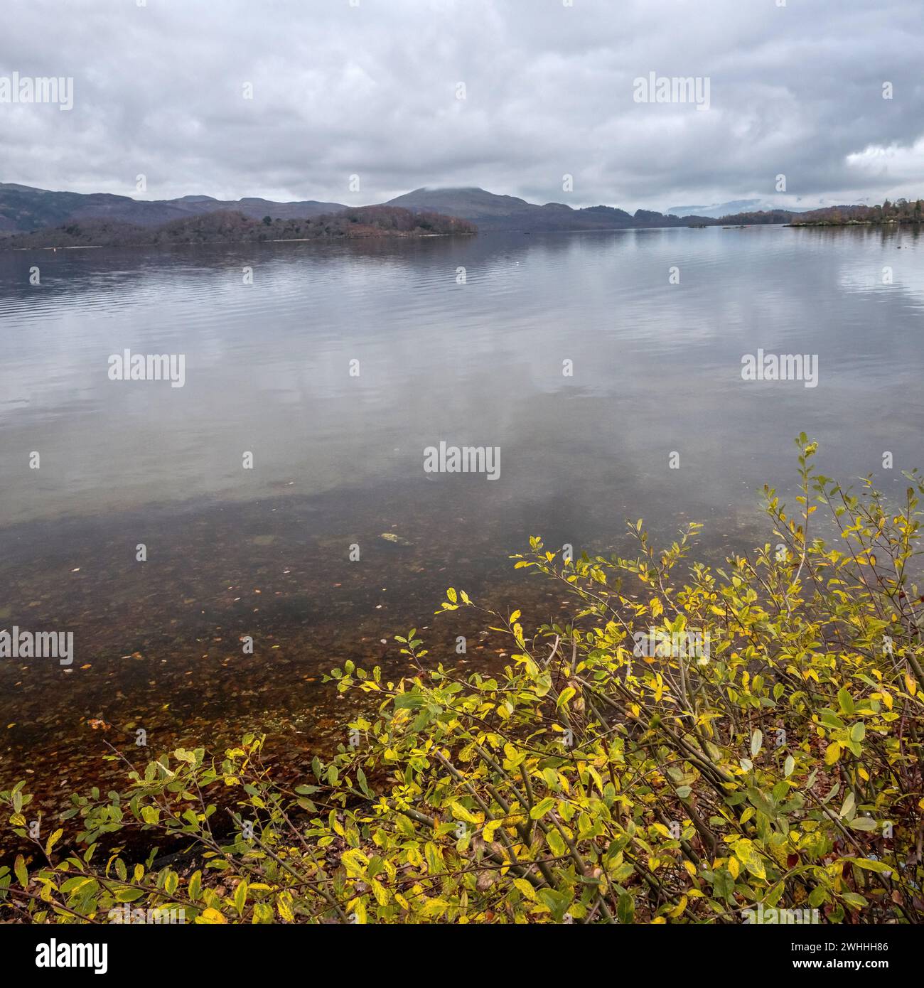 Autumn falls at Loch Lomond, Scotland Stock Photo - Alamy