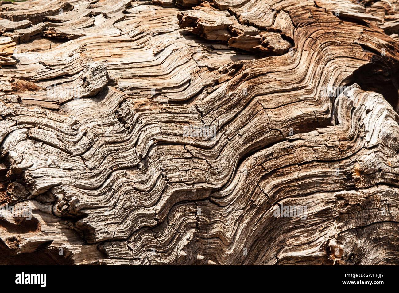 Moro rock giant forest hi-res stock photography and images - Alamy