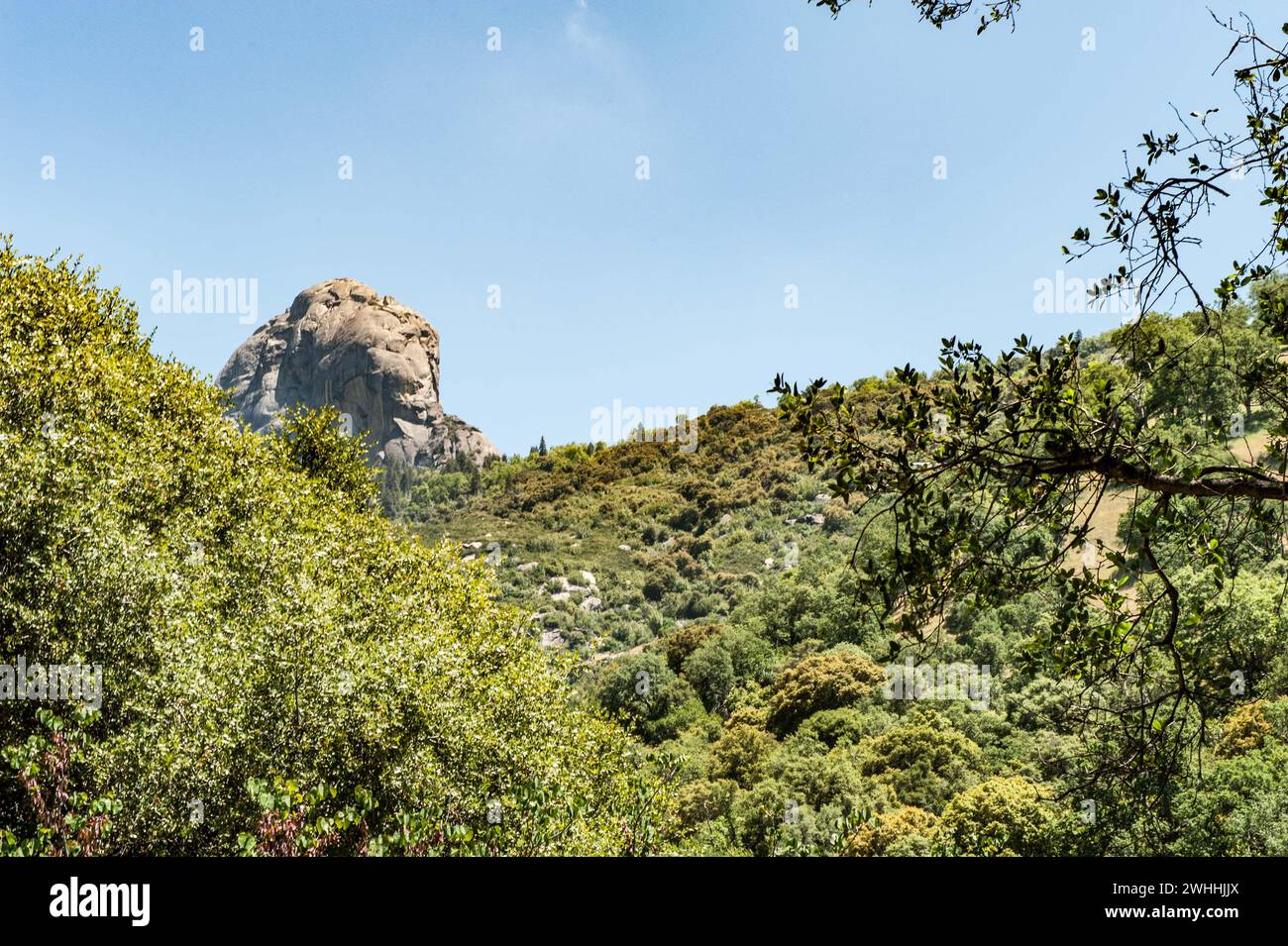Moro rock giant forest hi-res stock photography and images - Alamy
