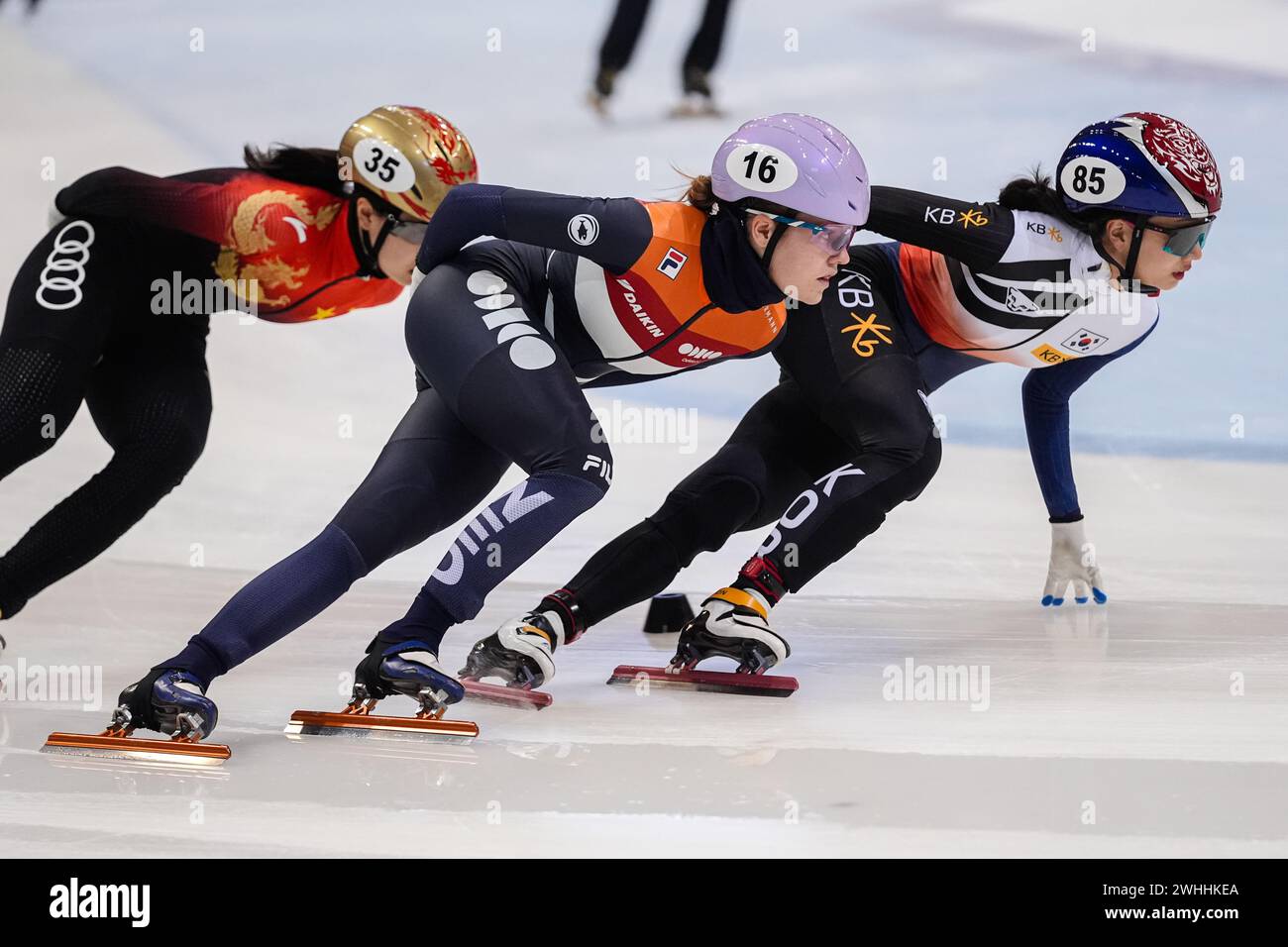 The world cup short track speedskating hi-res stock photography and ...