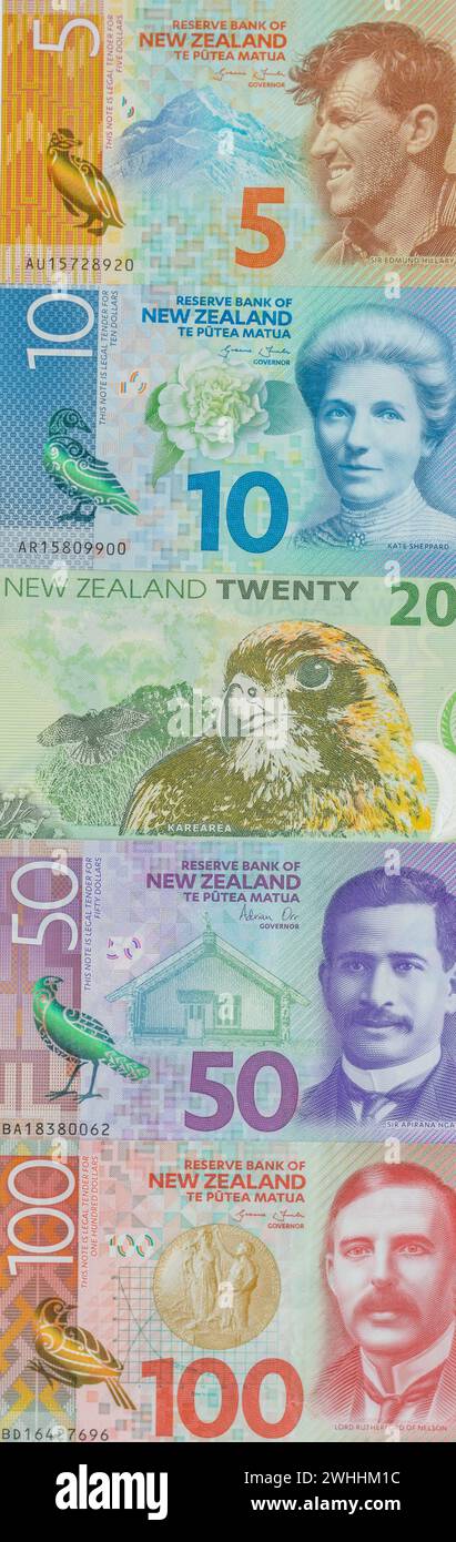 New Zealand dollar, Vertical panorama of New Zealand banknotes, All ...