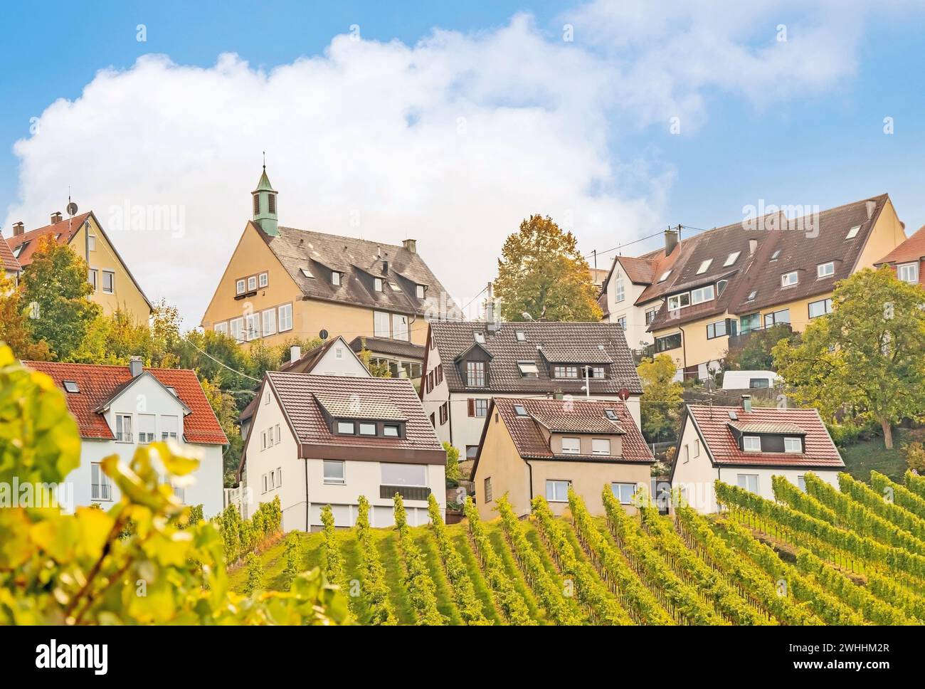 Rotenberg hi-res stock photography and images - Alamy