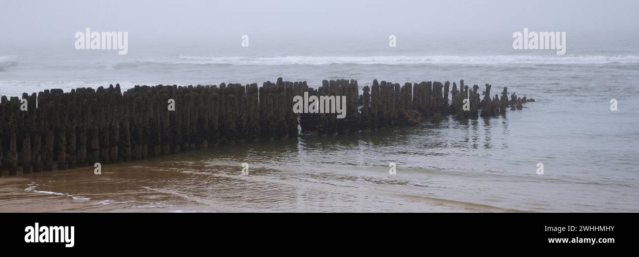 Groin at the coast of Sylt Stock Photo - Alamy