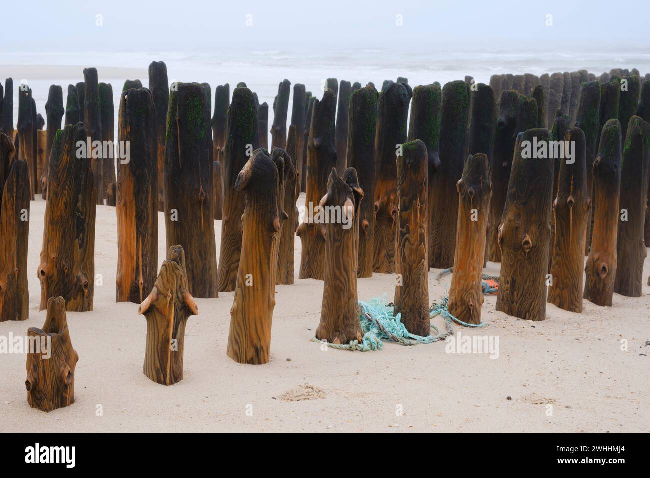 Beach groin shore protection hi-res stock photography and images - Alamy