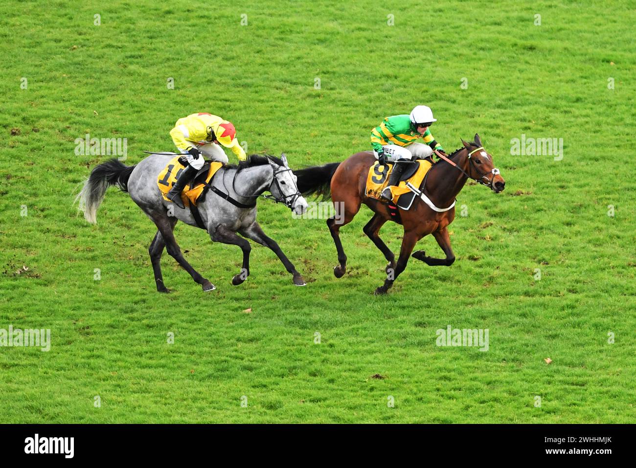 Newbury horse races hi-res stock photography and images - Alamy