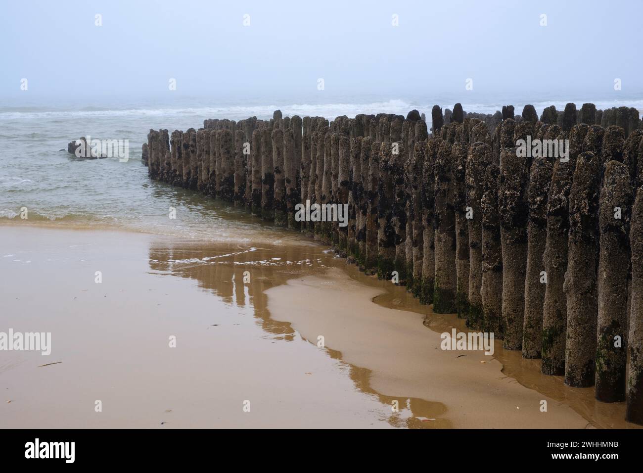 Beach groin shore protection hi-res stock photography and images - Alamy