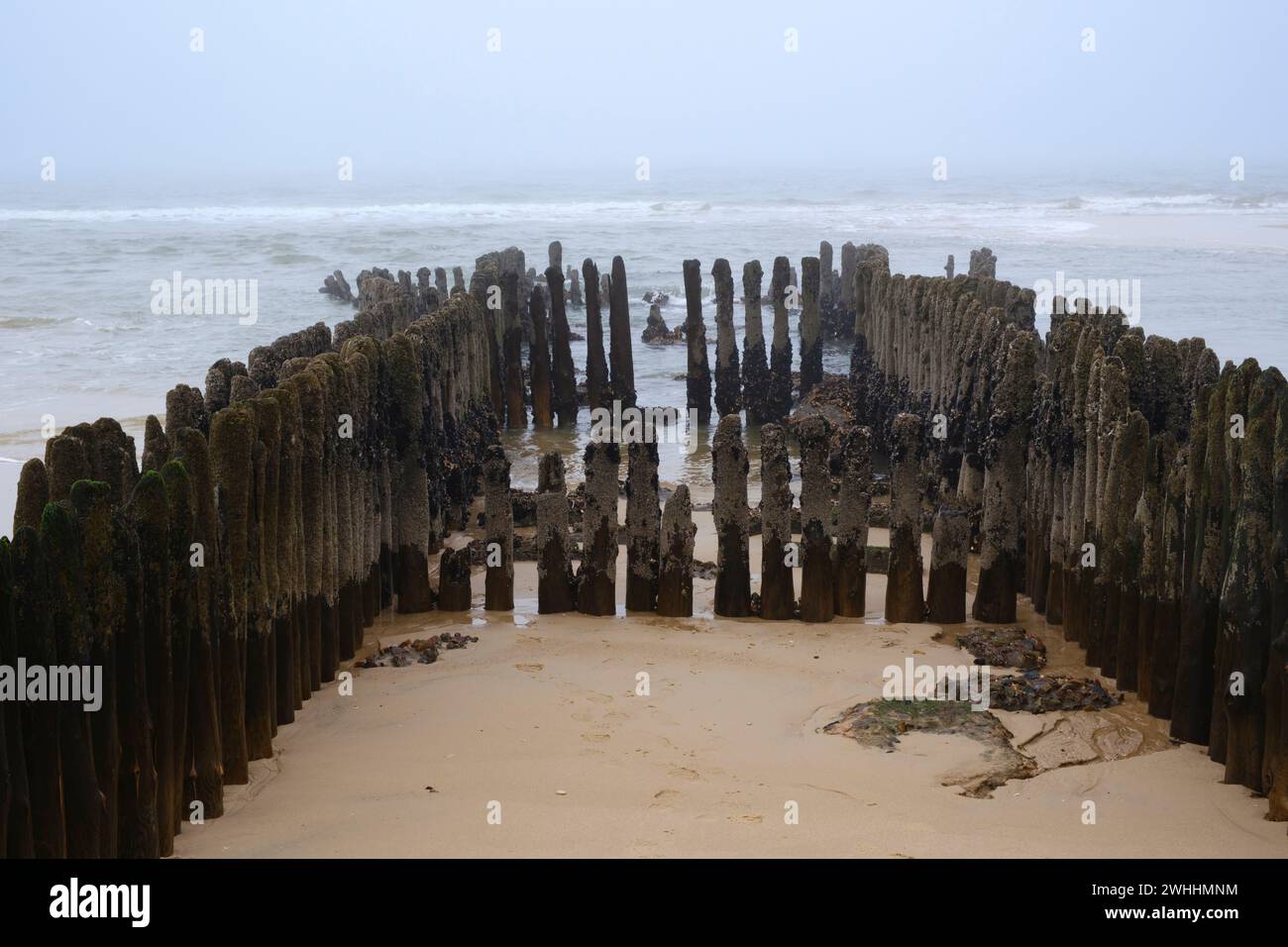 Groin at the coast of Sylt Stock Photo - Alamy