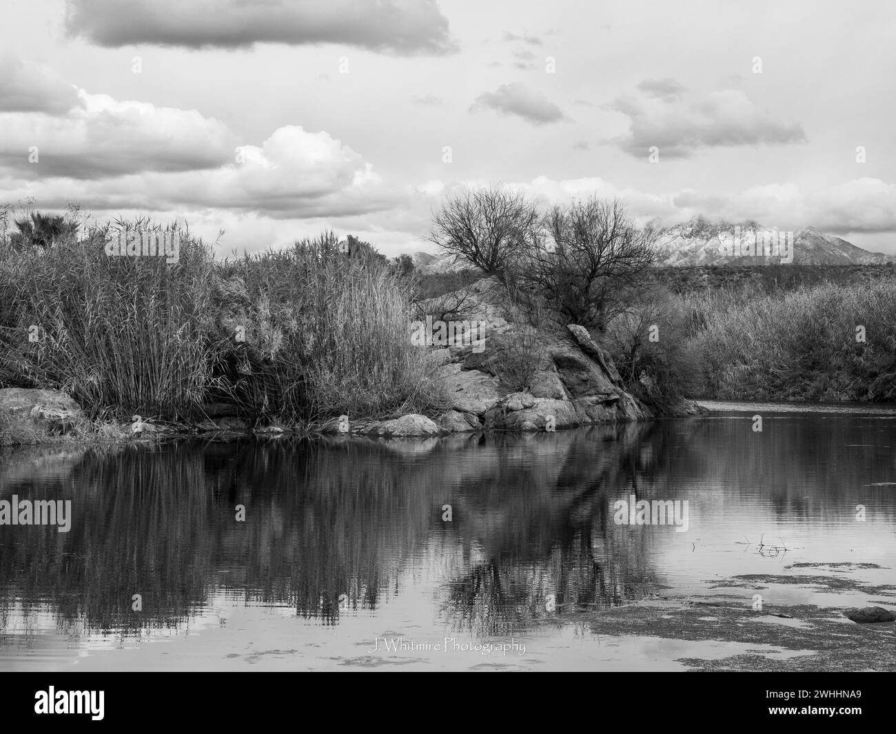 The Sonoran desert in winter offers cooler weather to the Phoenix ...