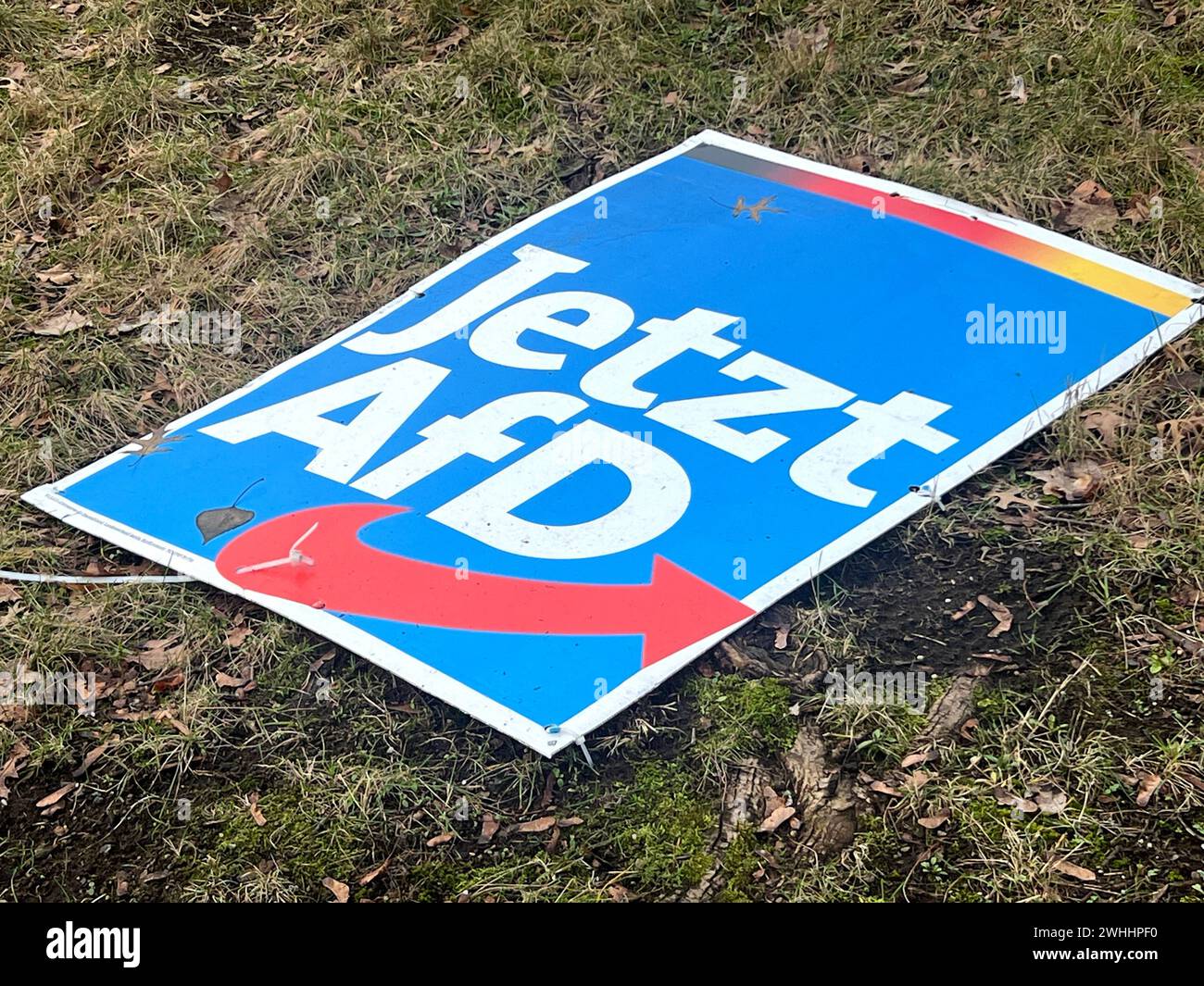 Abgerissenes Wahlplakat der AfD *** Torn down AfD election poster ...