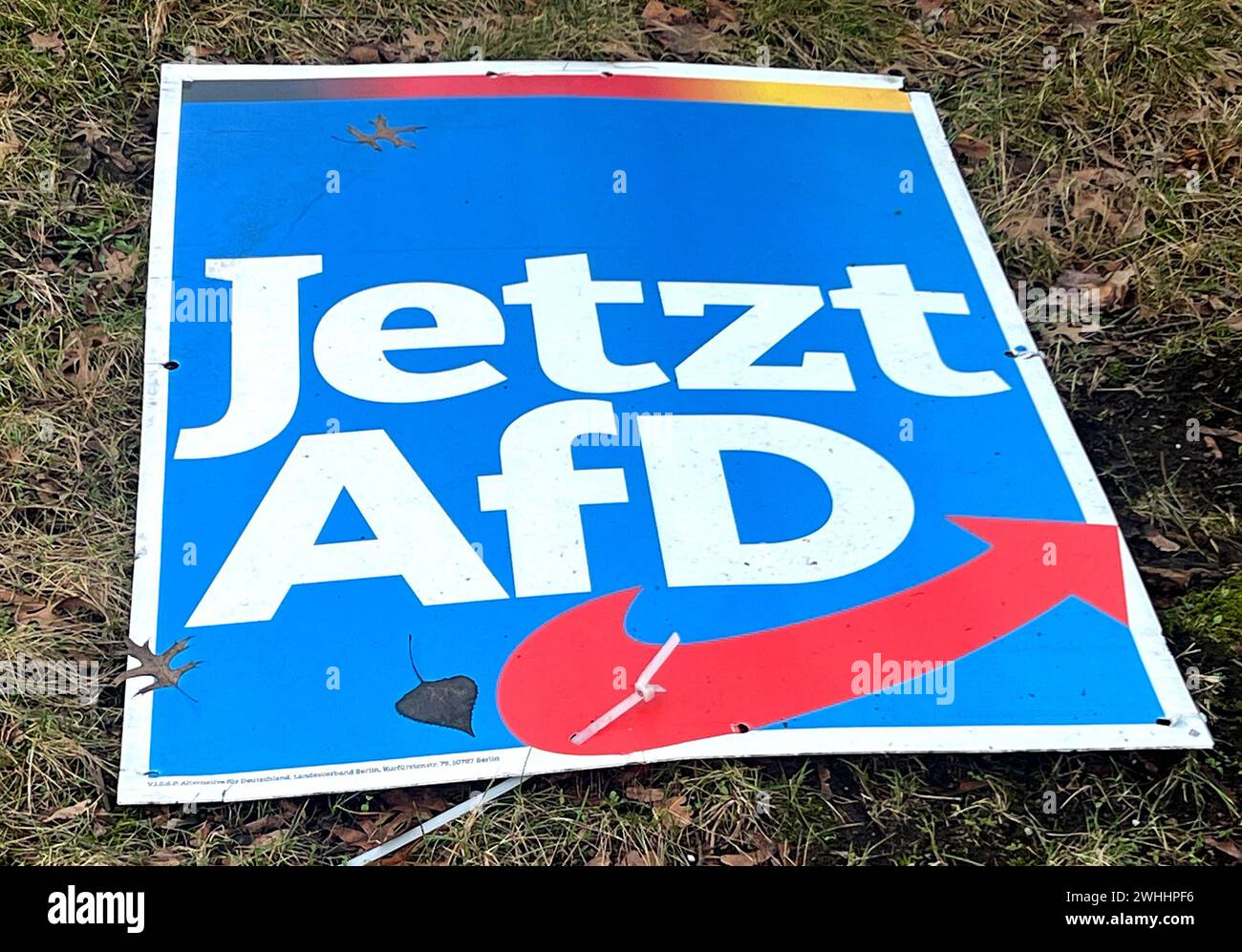 Abgerissenes Wahlplakat der AfD *** Torn down AfD election poster ...
