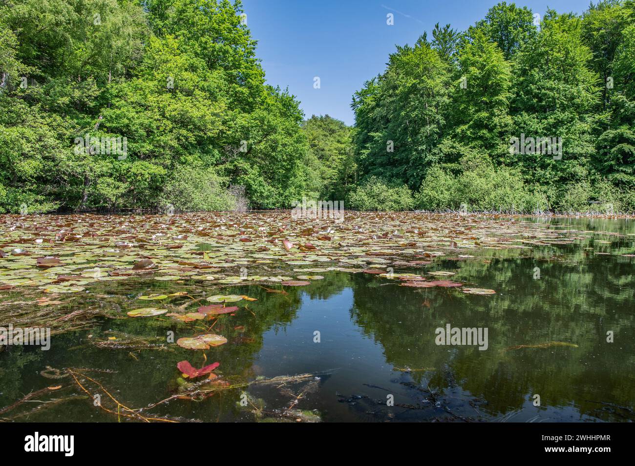 Ehemalige bergbaufla chen hi-res stock photography and images - Alamy