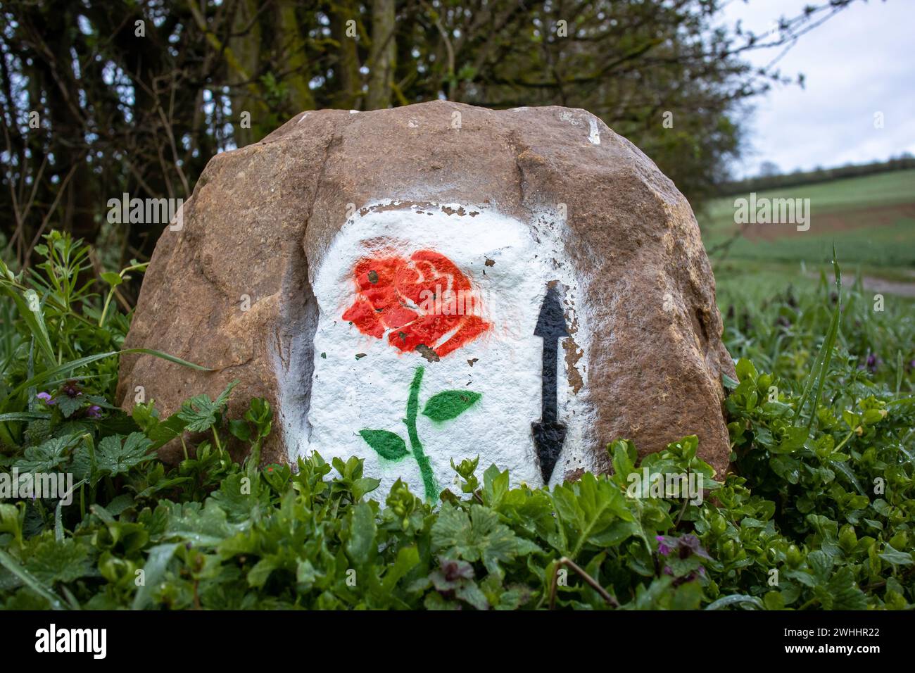 Rose trail hi-res stock photography and images - Alamy