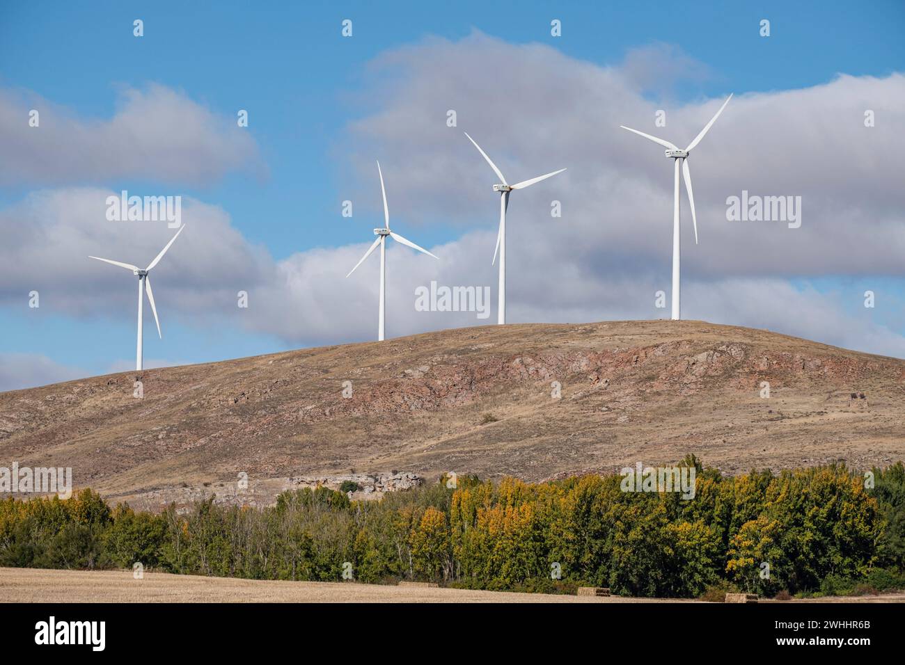 Wind farm in Sierra de Pela Stock Photo - Alamy