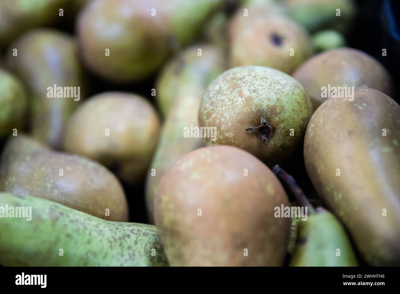 Fruit logistica 2024 hi-res stock photography and images - Alamy