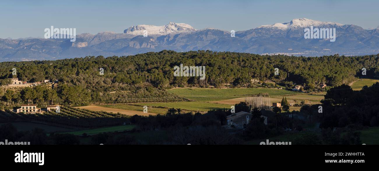Snow-capped Puig Major and snow-capped Puig de Massanella seen from ...